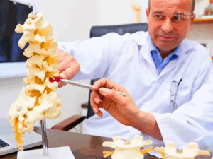 Top Supplements That Support Spinal Disc Regeneration